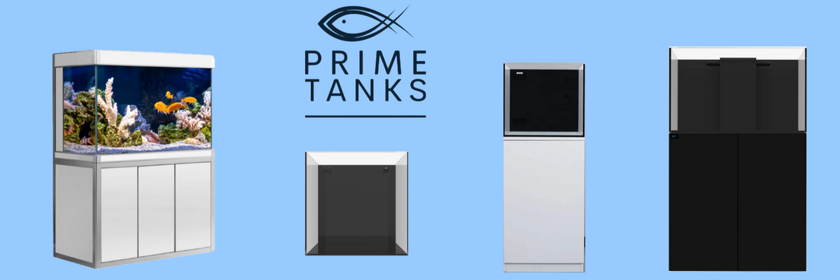 Online Pet Supplies | Pets Warehouse | Pet Products Since 1974